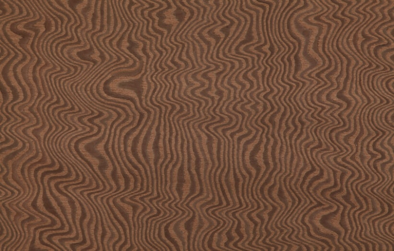 carpathian elm burl veneer | engineered wood veneer | WoodenAve.com