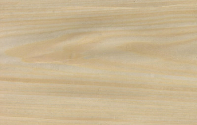 Maple Veneer Sheets | Premium Smooth Surface, High Density