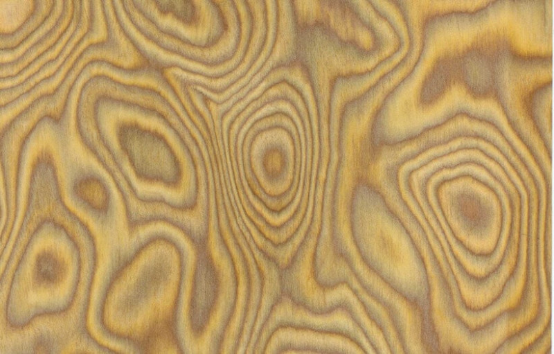 burr oak veneer | Exotic oak burl veneer sheets 2500x640mm supply